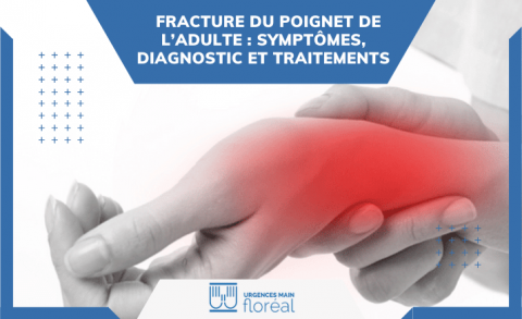 Fracture du poignet chez l’adulte : Symptômes, diagnostic et traitements